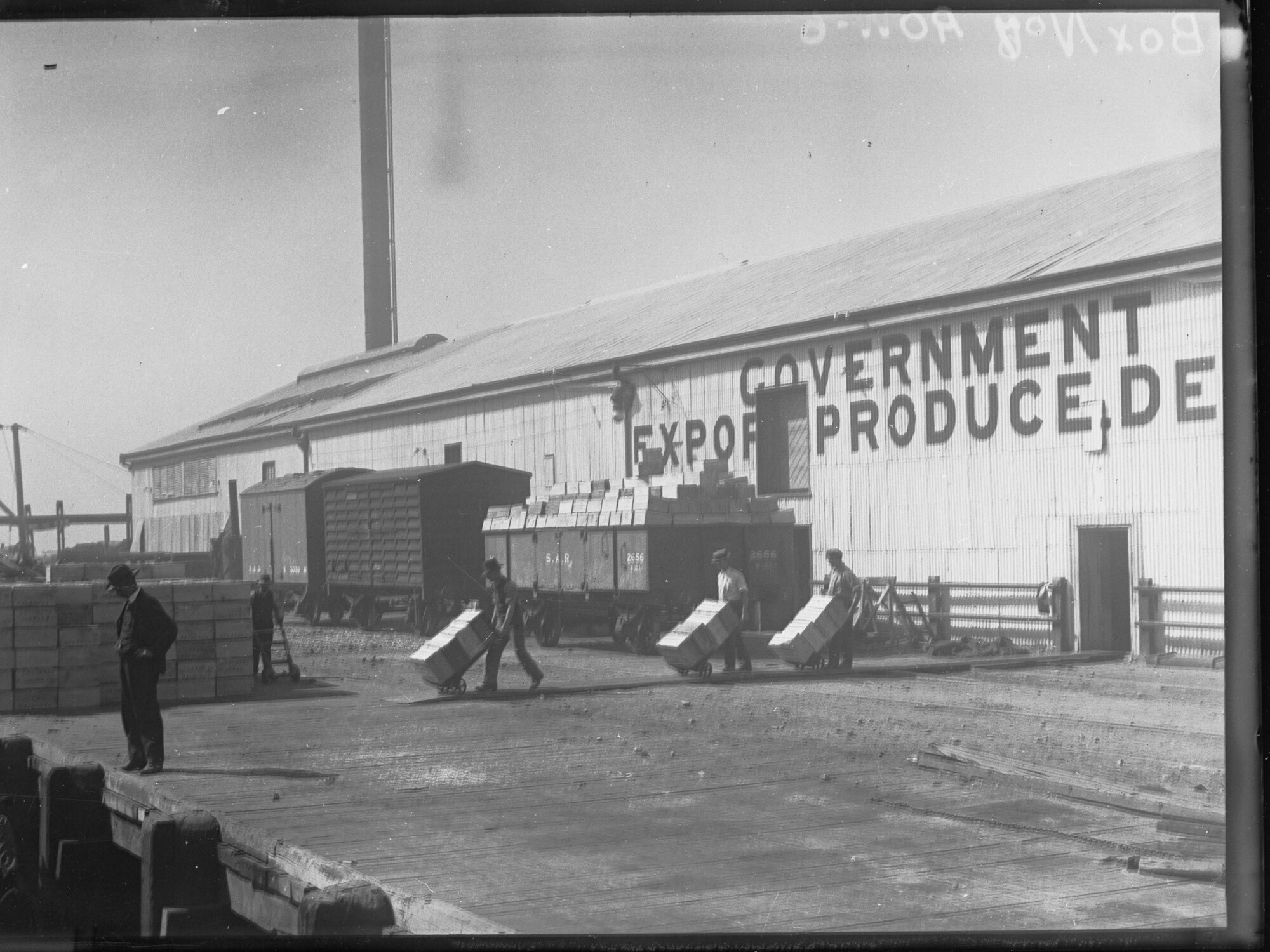 Government Export Produce Deptartment shipping fruit at Port Adelaide ...