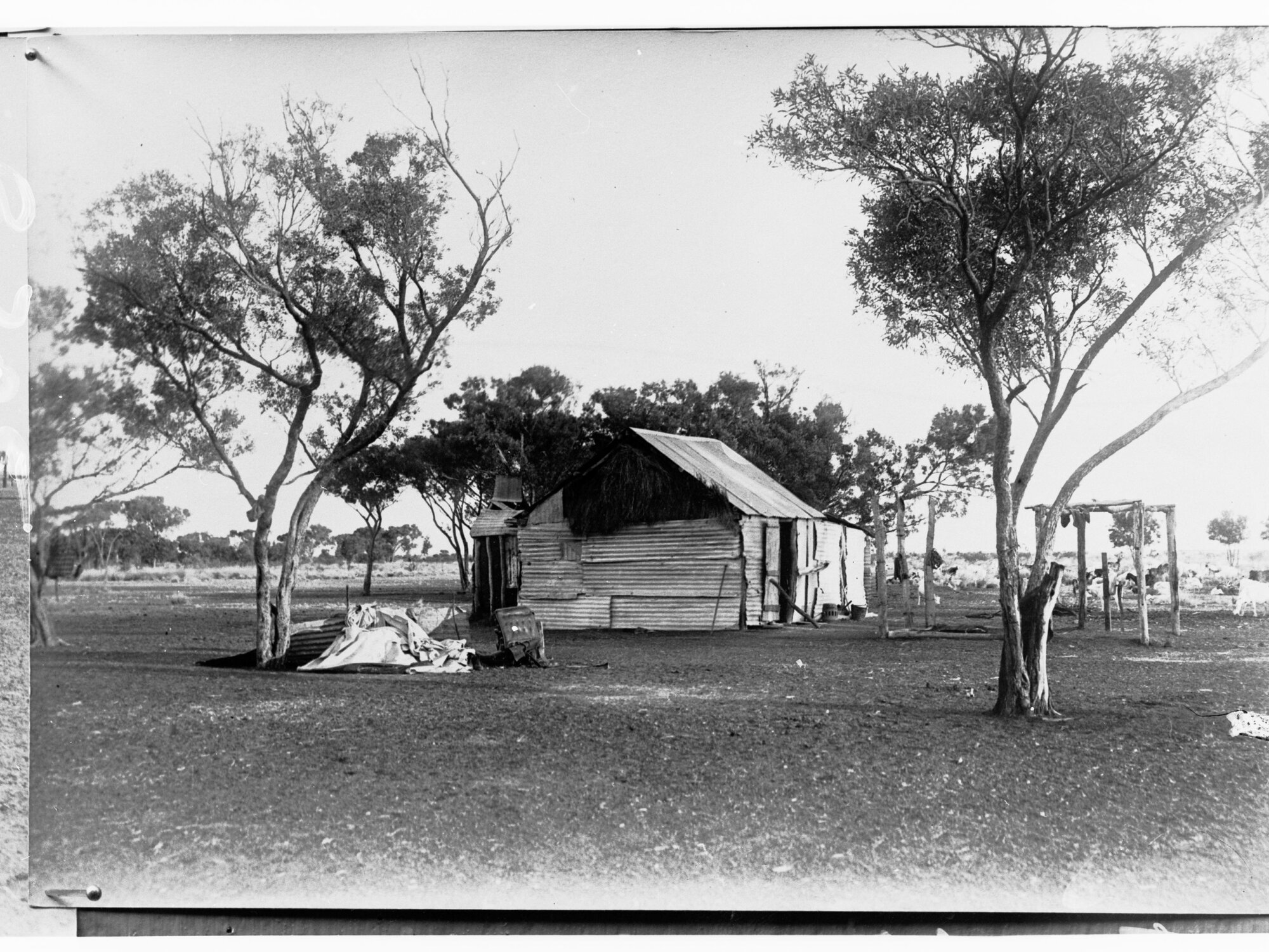Tin Hut at Eva Downs - Northern Territory | History Trust