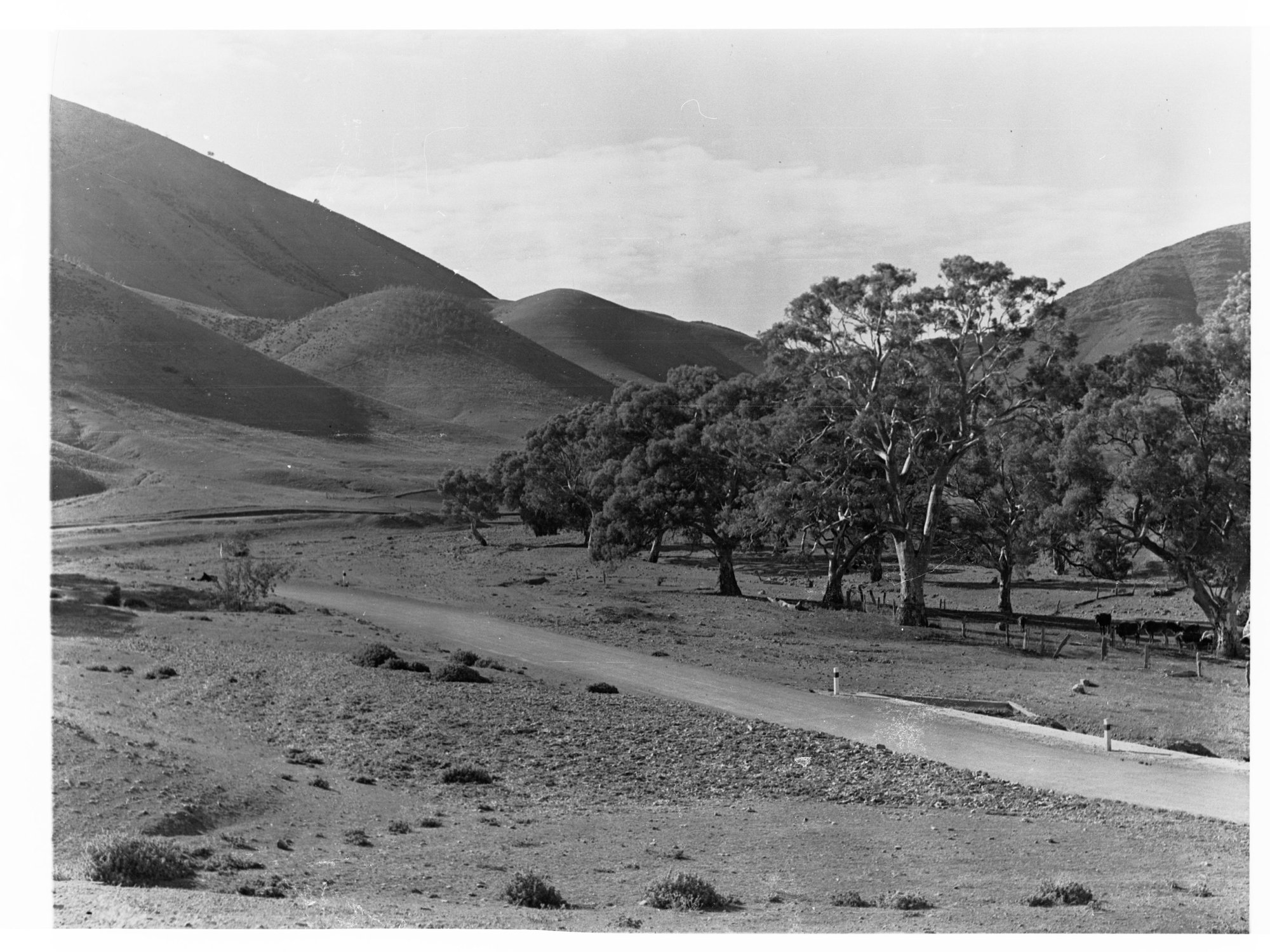Horrocks Pass | History Trust