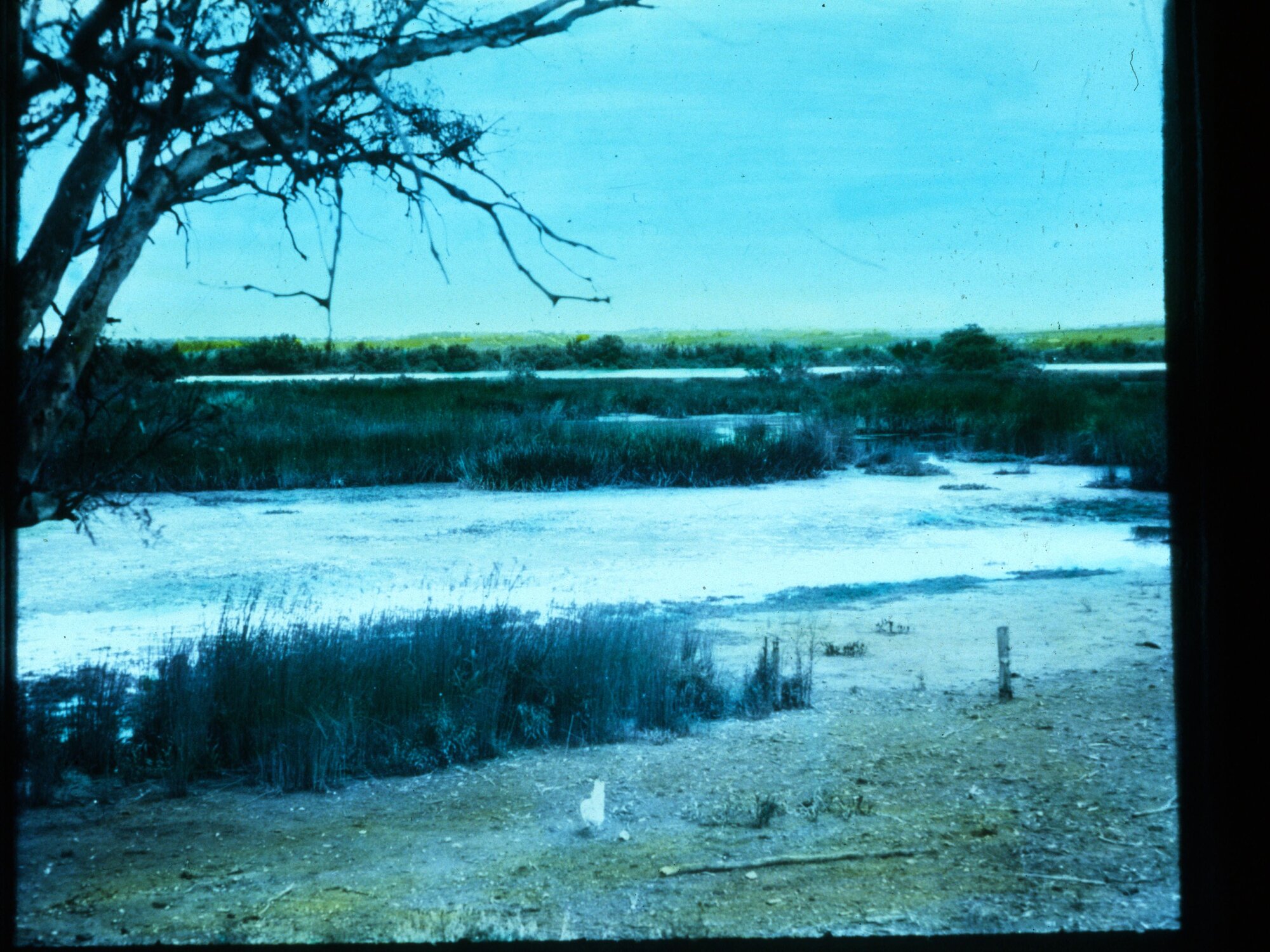 River Murray Irrigation | History Trust