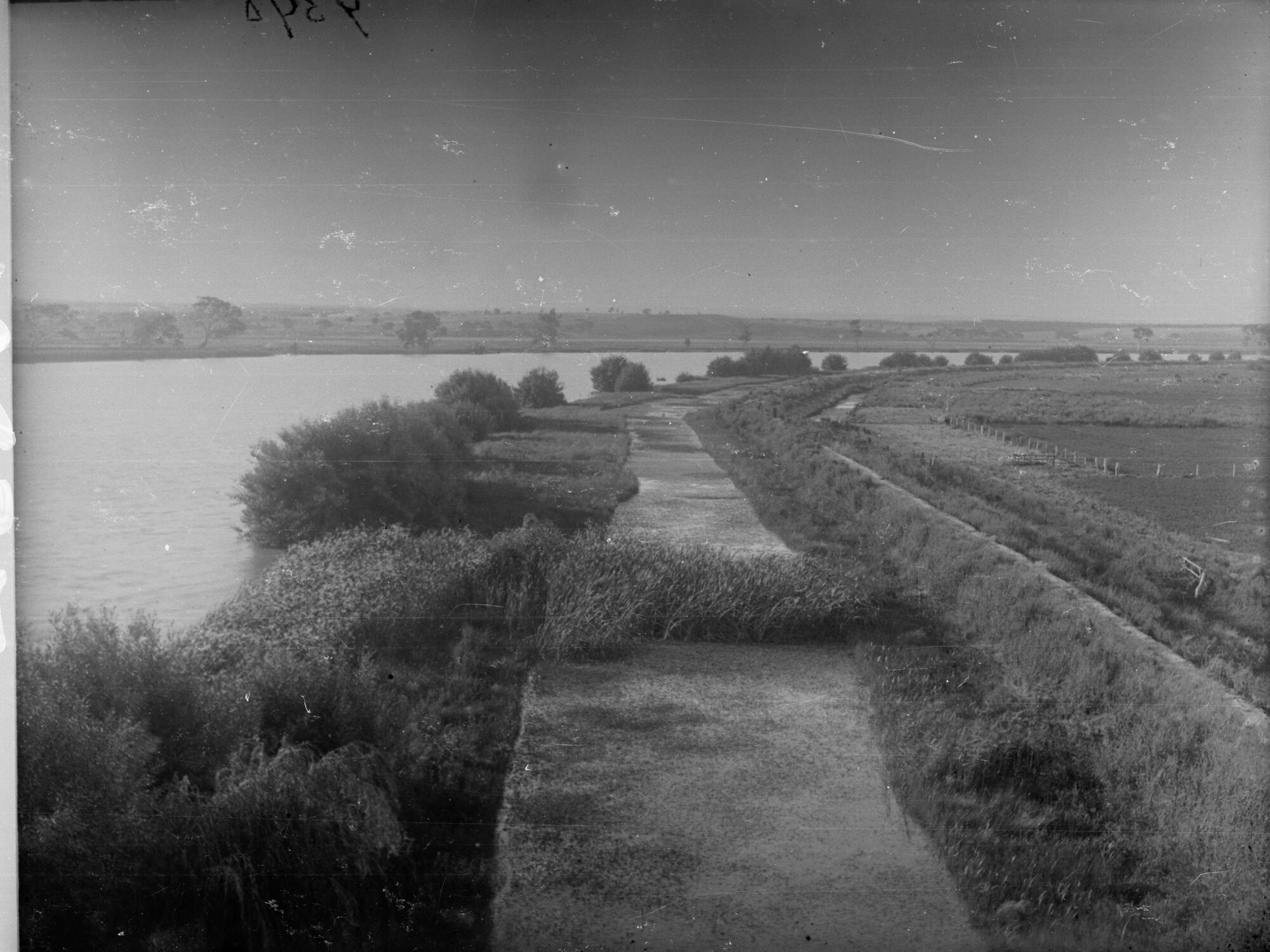 Irrigation area, Murray Bridge, showing river | History Trust