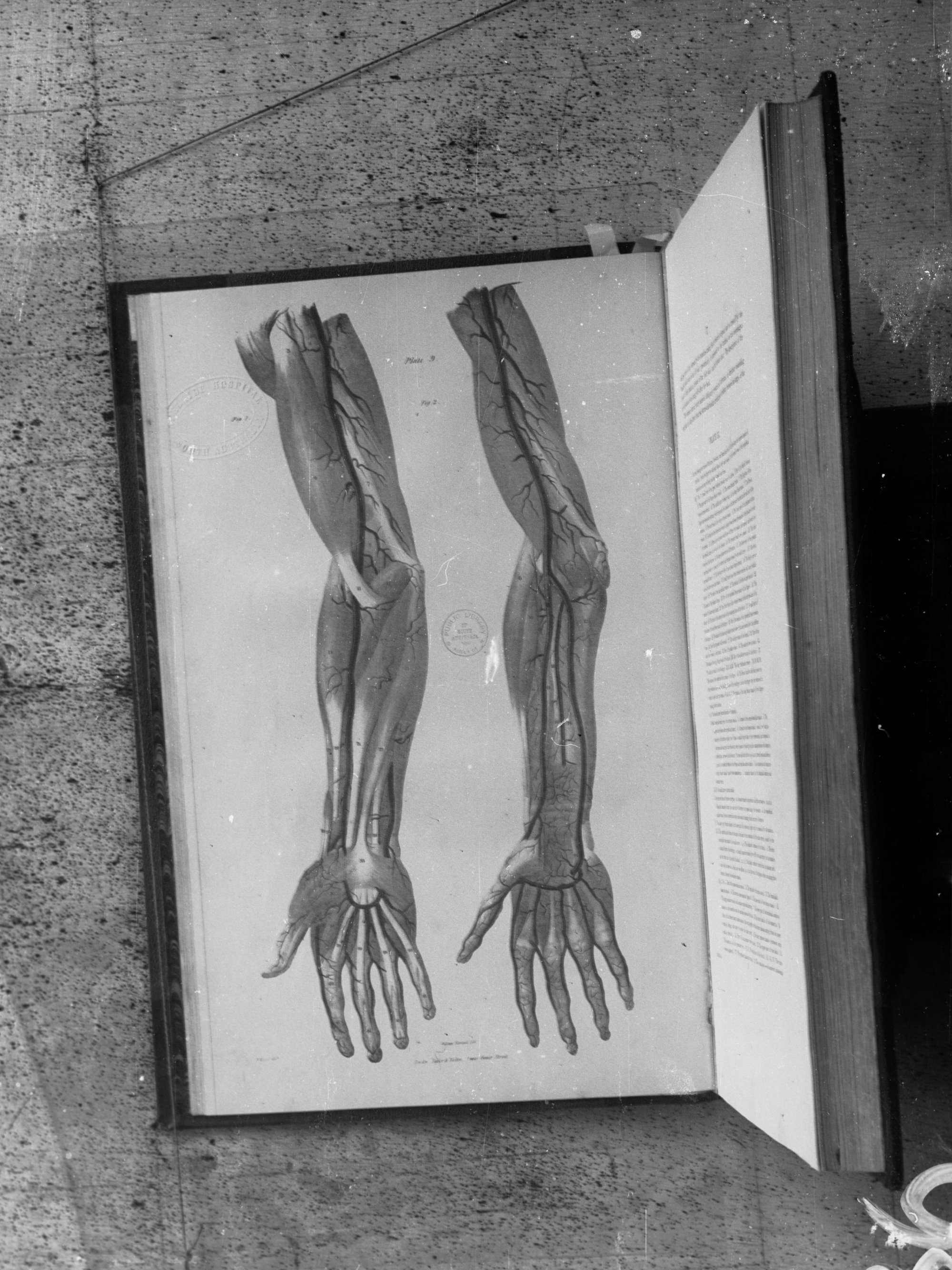 first-aid-class-history-trust